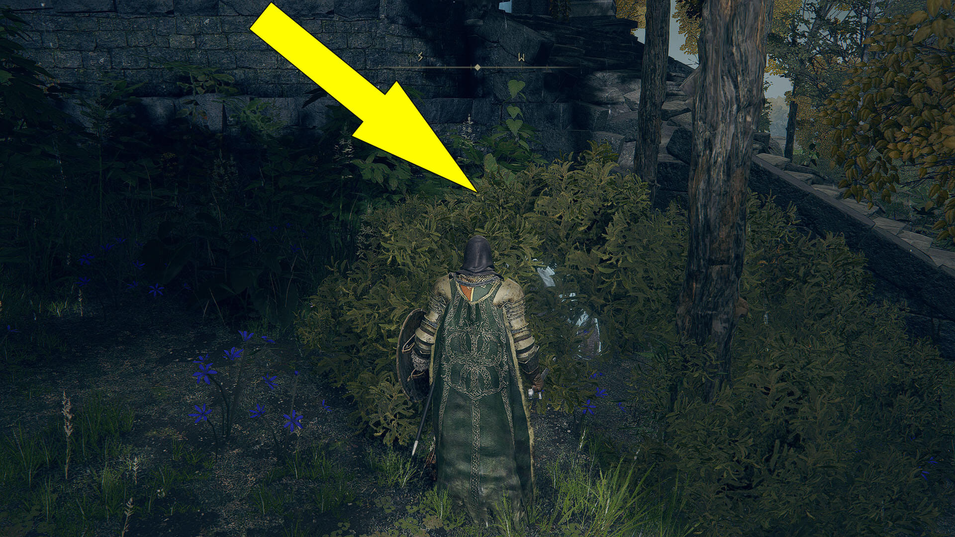 Elden Ring Oridys Rise: How To Solve The Wise Beasts Puzzle