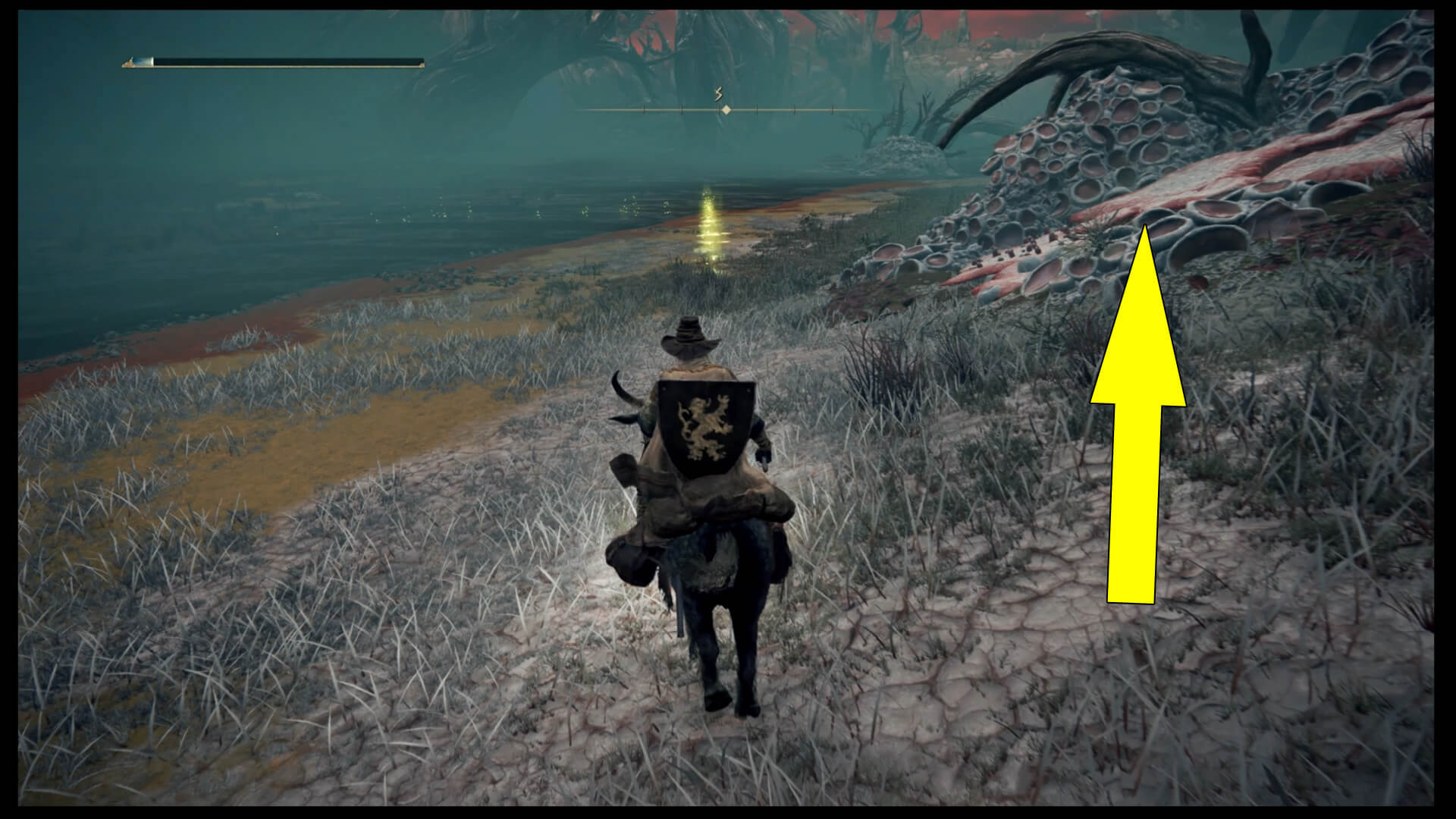 Elden Ring Aeonia Running Ghost: How To Stop The Footprints