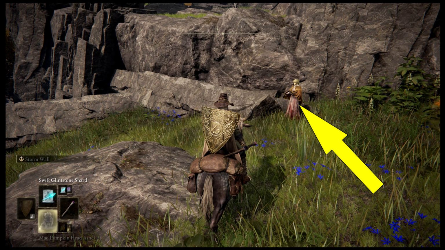 Gate Town Bridge Shabriri Grape: Where To Find in Elden Ring