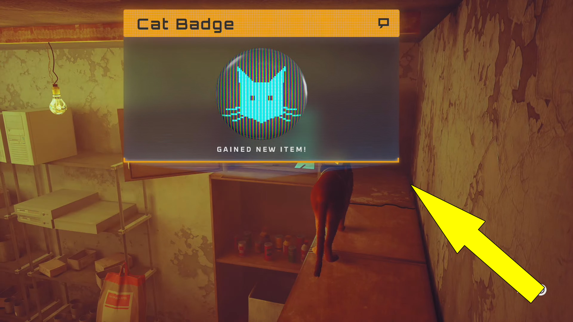 Badge Locations Guide - Stray