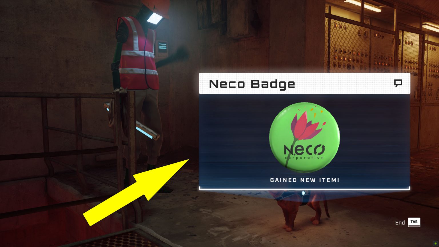 Badge Locations Guide - Stray