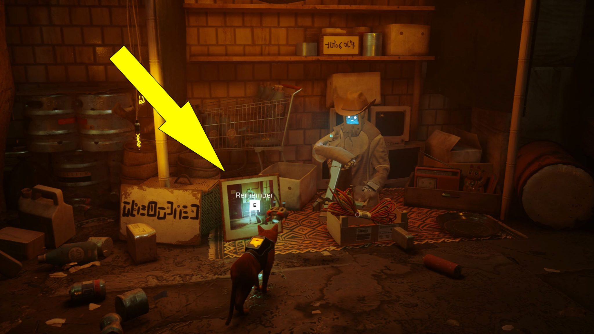 B-12 Memory Collectible Locations - Stray