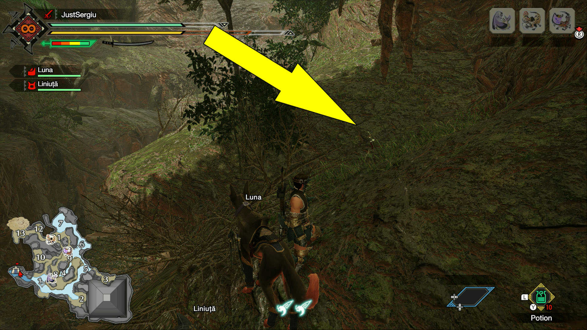 Flooded Forest Relic Records - Monster Hunter Rise (MHR)