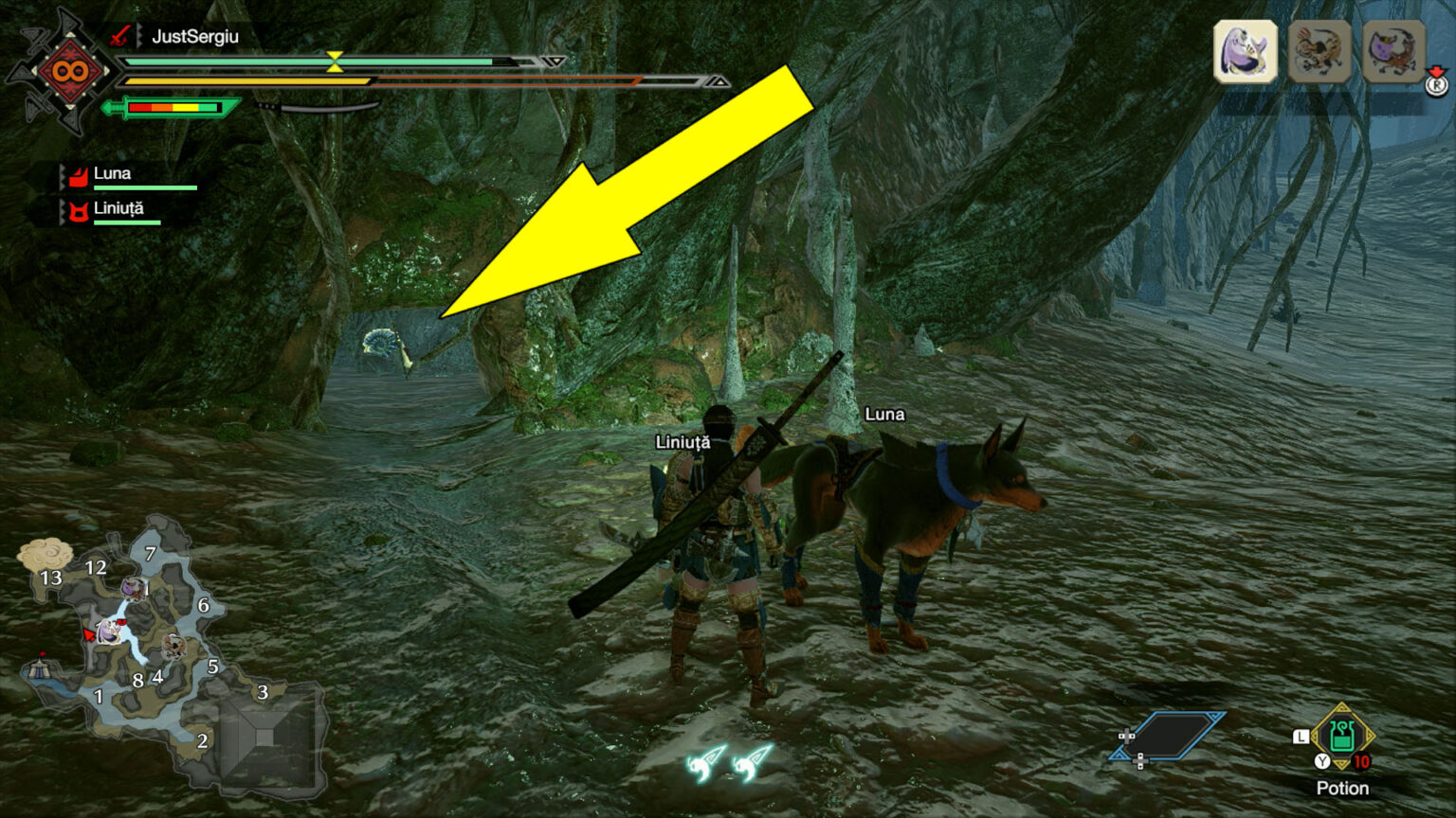 Flooded Forest Relic Records - Monster Hunter Rise (MHR)