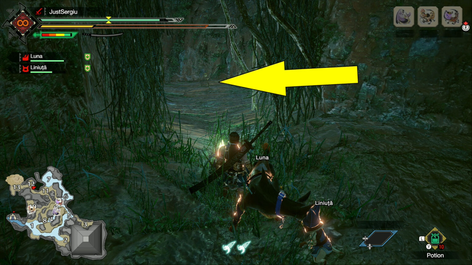 Flooded Forest Relic Records - Monster Hunter Rise (MHR)