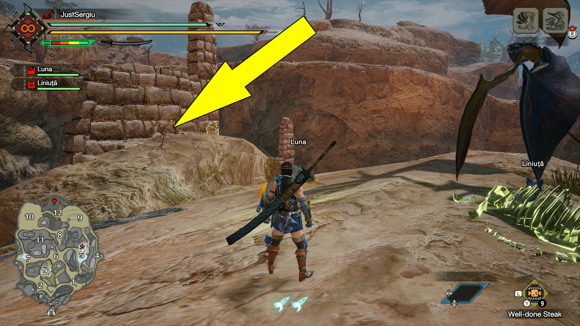 Sandy Plains Relic Records Guide - Monster Hunter Rise (MHR)