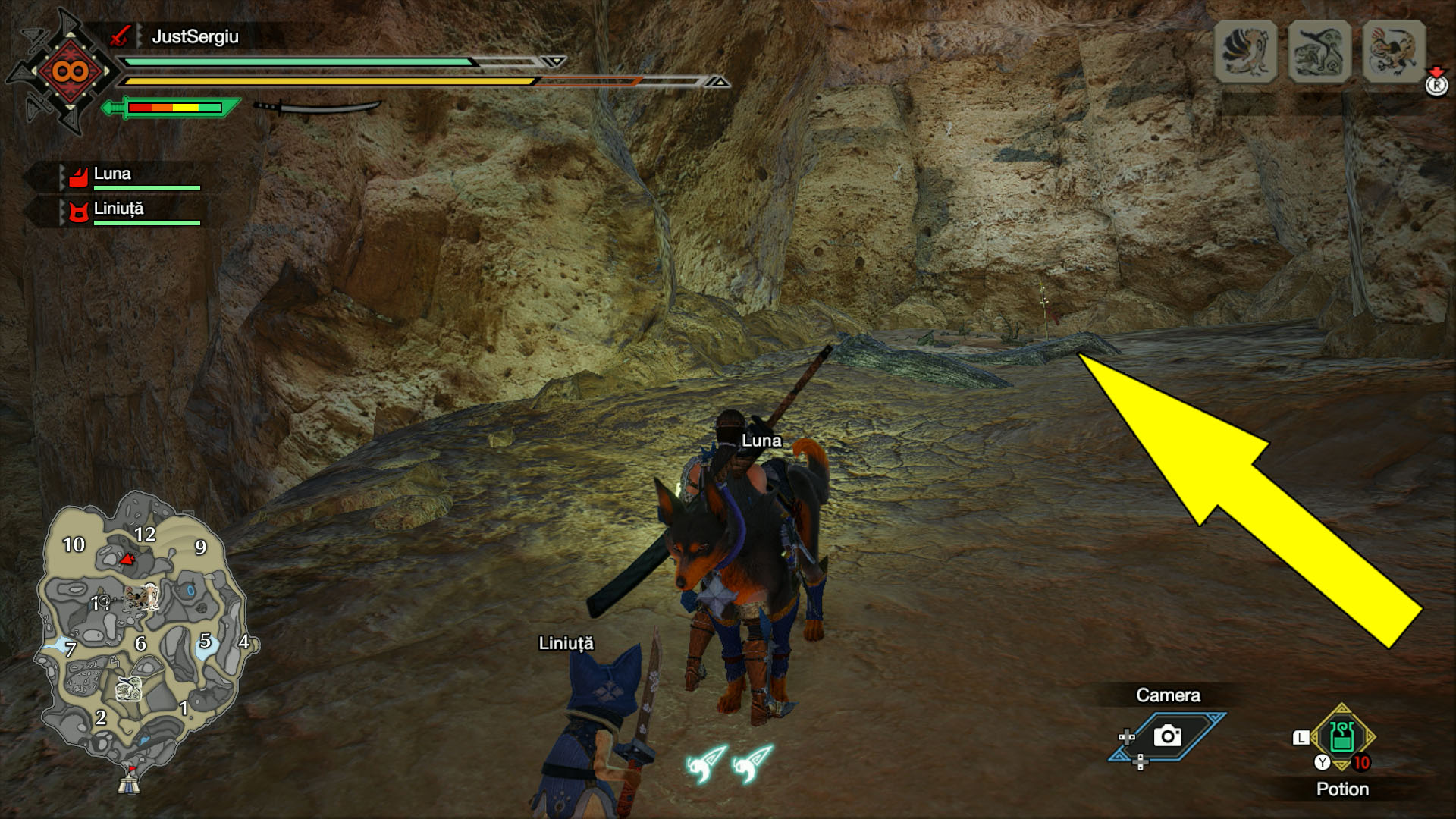 Sandy Plains Relic Records Guide - Monster Hunter Rise (MHR)