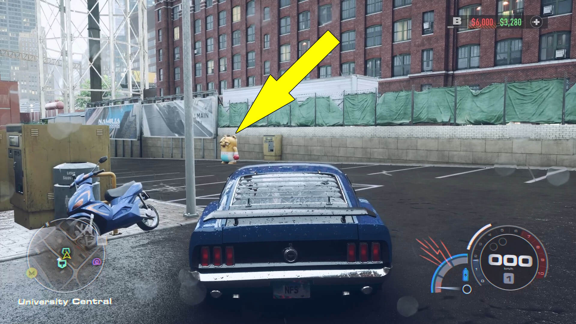 University Central Bear Champ Locations - NFS Unbound