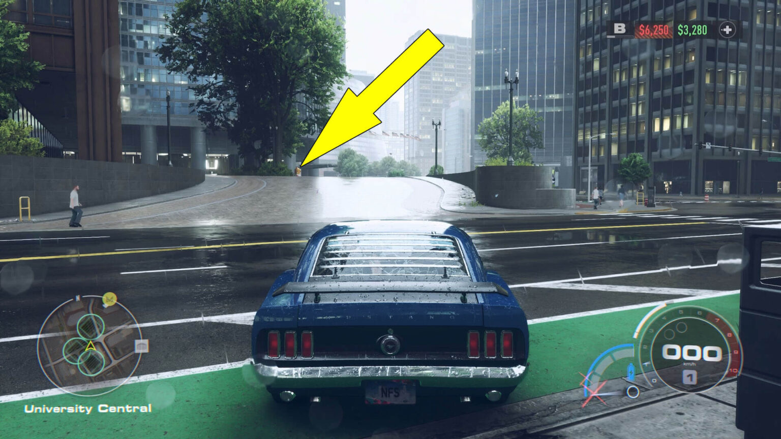 University Central Bear Champ Locations - NFS Unbound