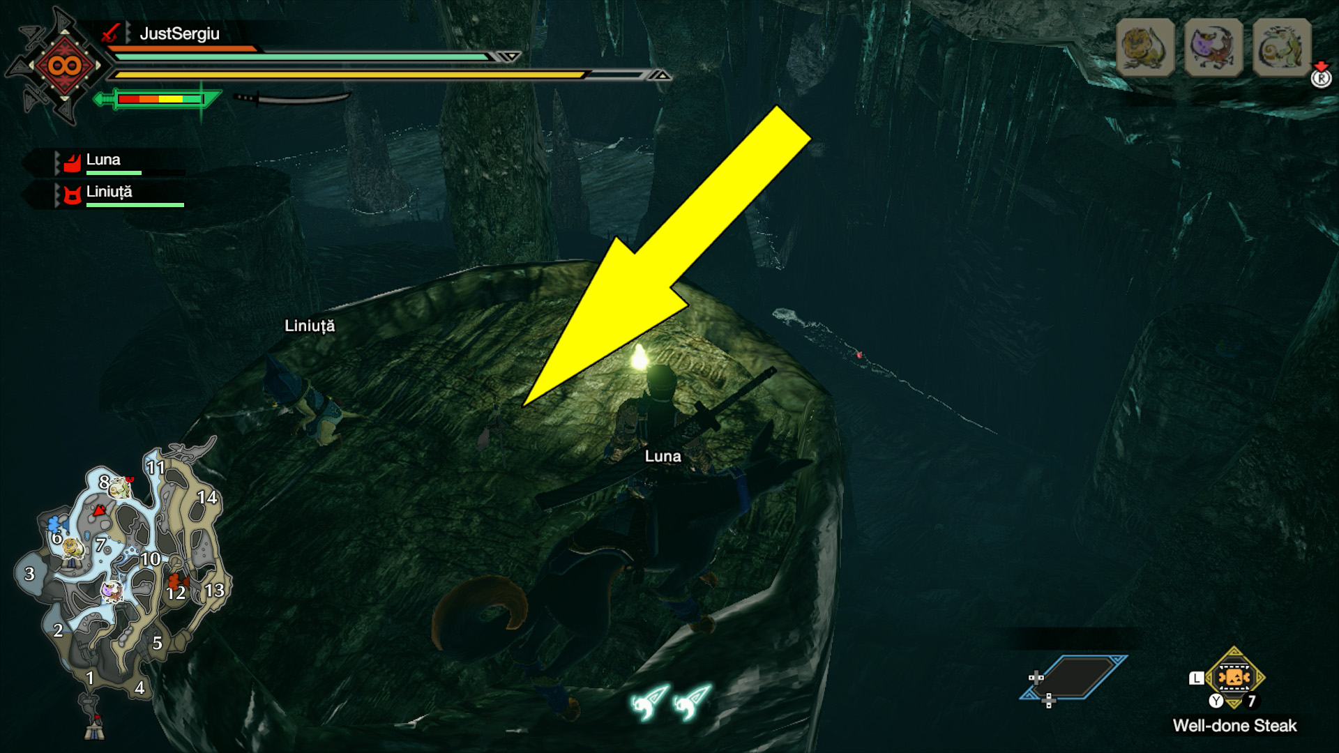 Lava Caverns Relic Record Locations - Monster Hunter Rise