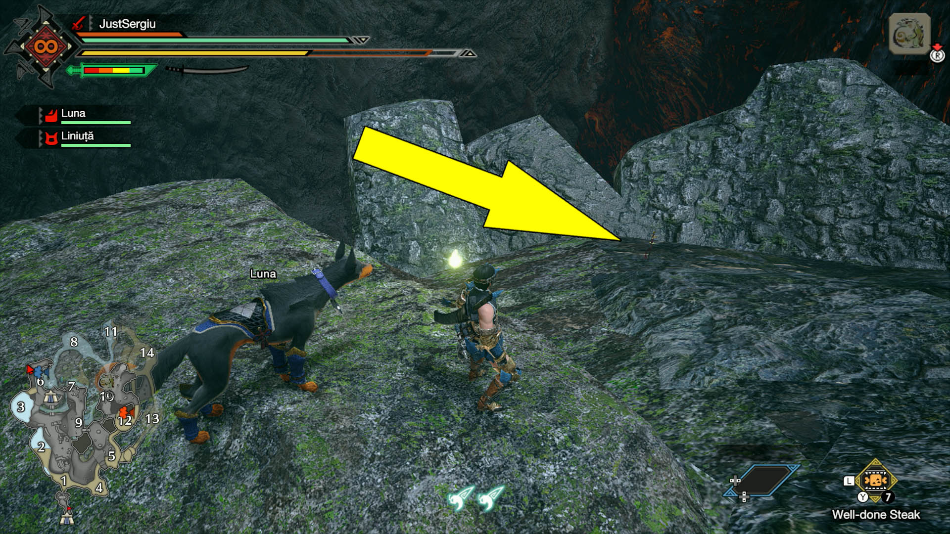 Lava Caverns Relic Record Locations - Monster Hunter Rise