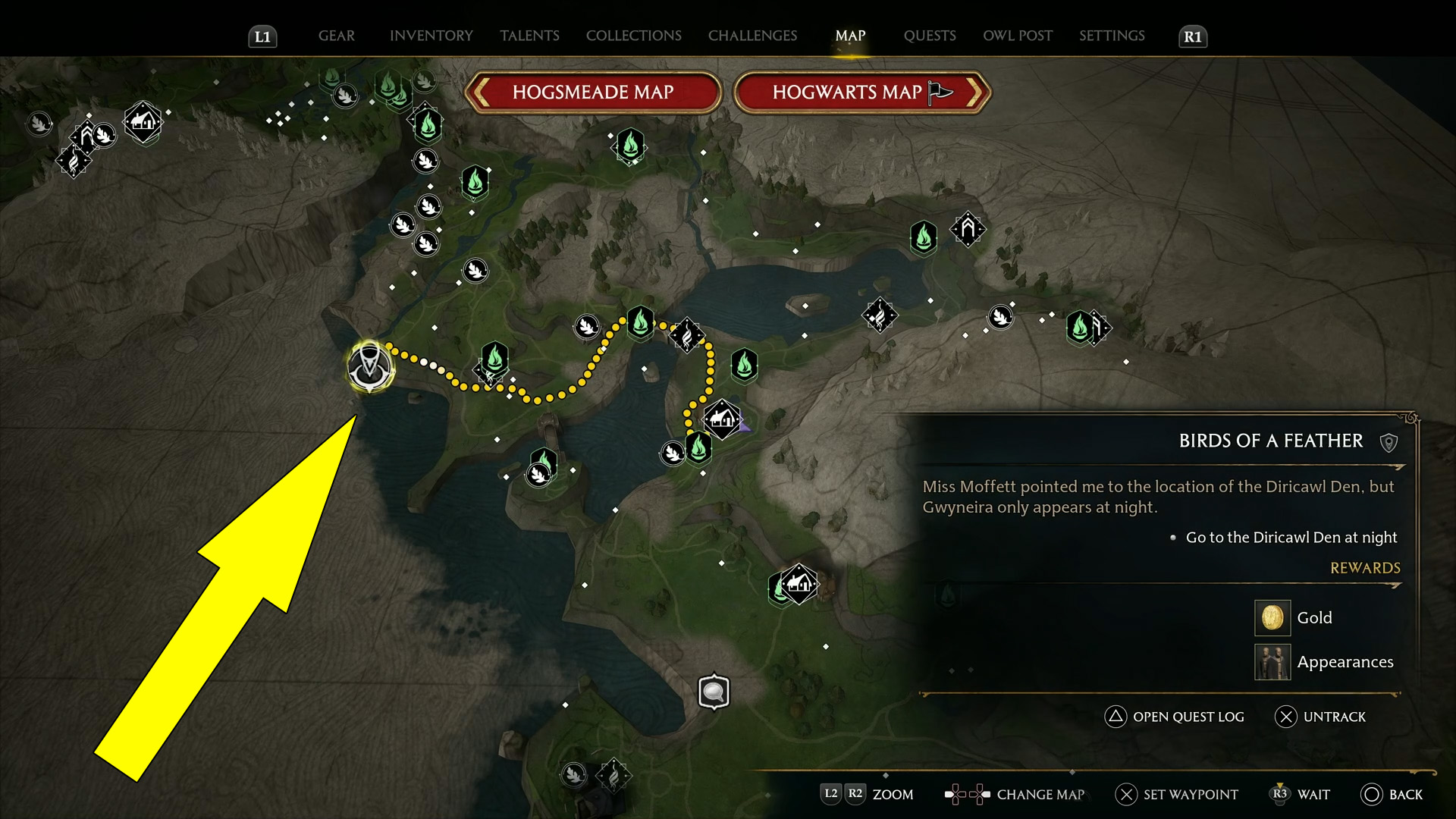 Birds Of A Feather Gwyneira Diricawl - Hogwarts Legacy