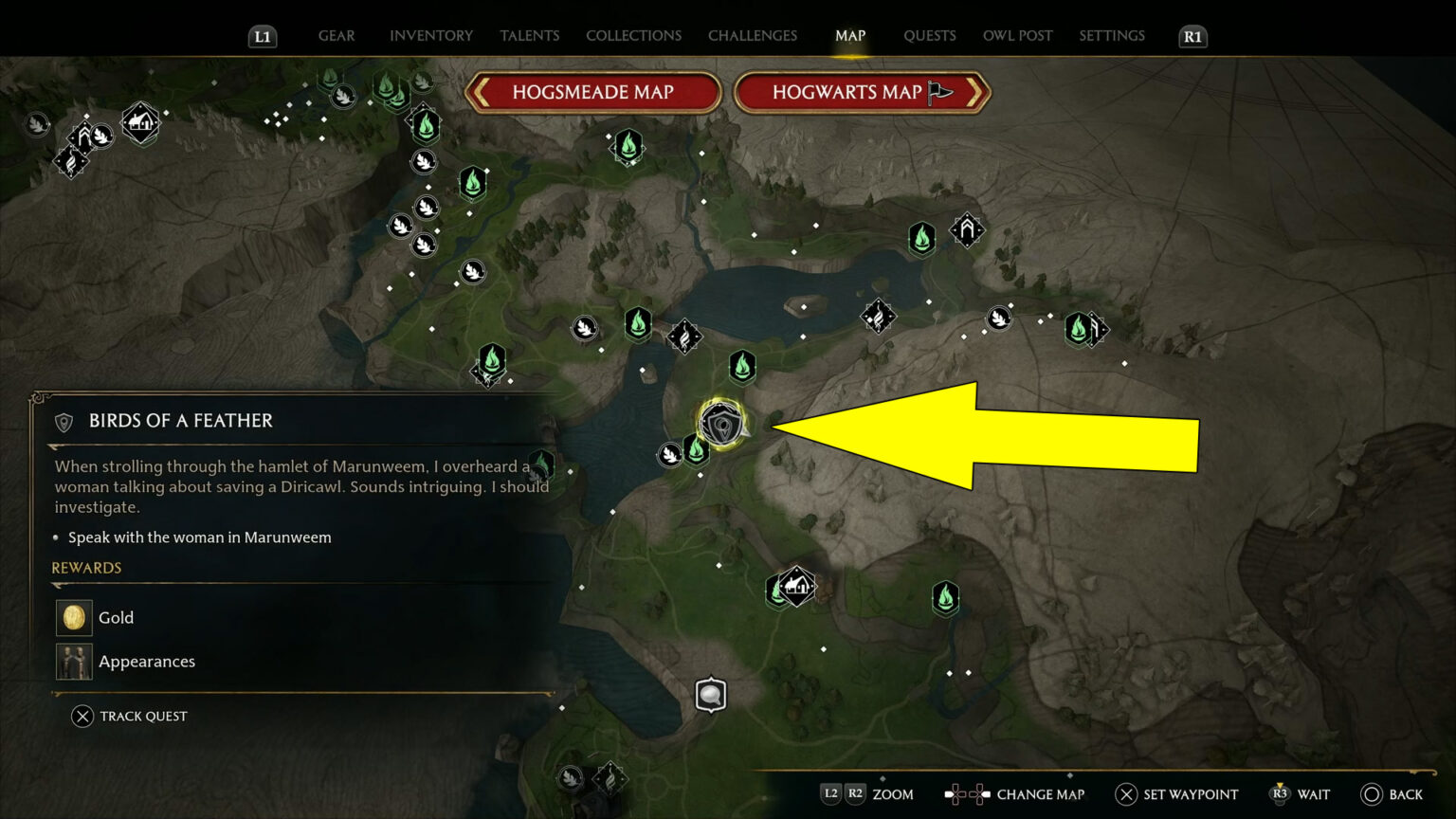 Birds Of A Feather Gwyneira Diricawl - Hogwarts Legacy