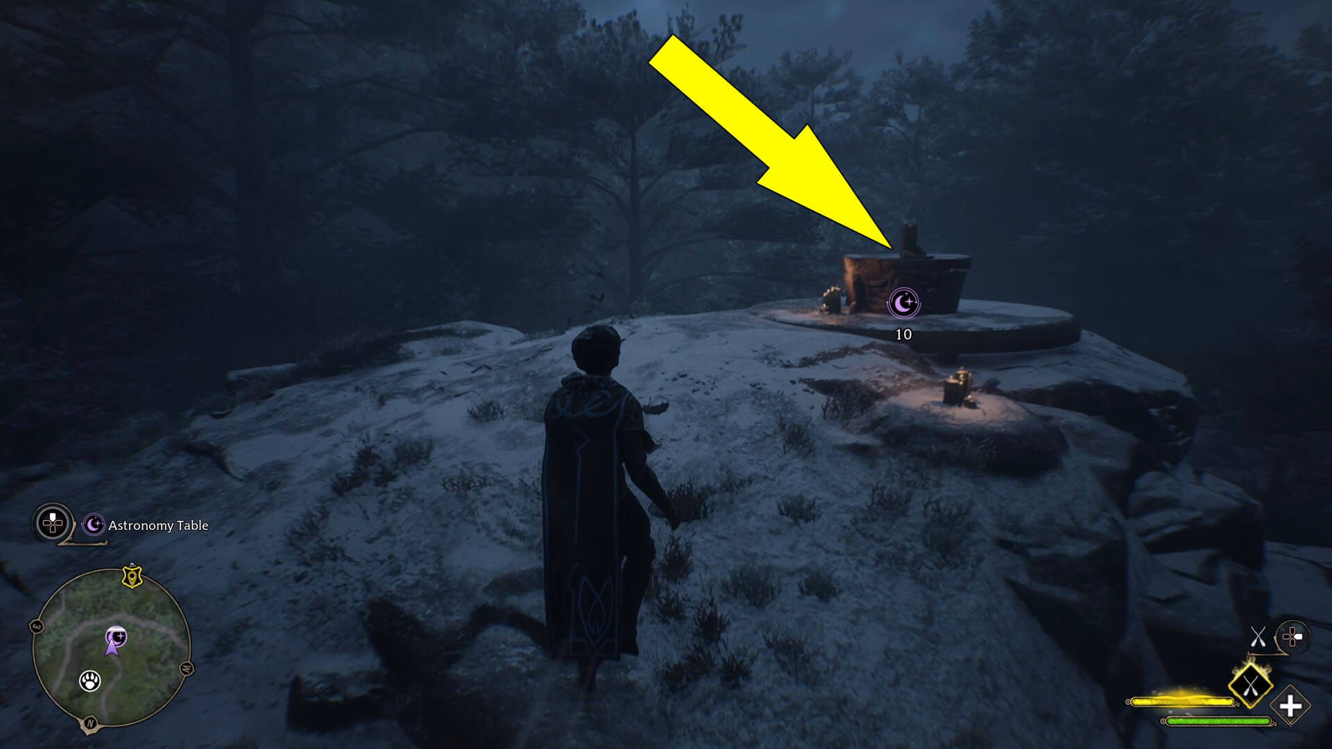 Forbidden Forest Astronomy Table Location - Hogwarts Legacy