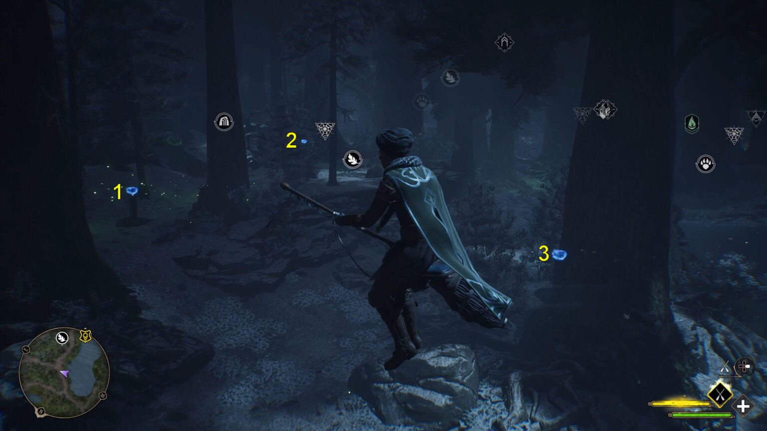 Forbidden Forest Merlin Trial Solutions - Hogwarts Legacy