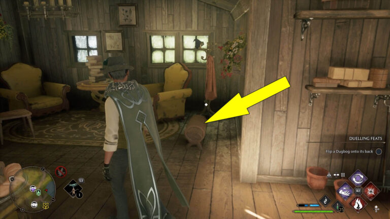 North Ford Bog Collection Chest Locations - Hogwarts Legacy