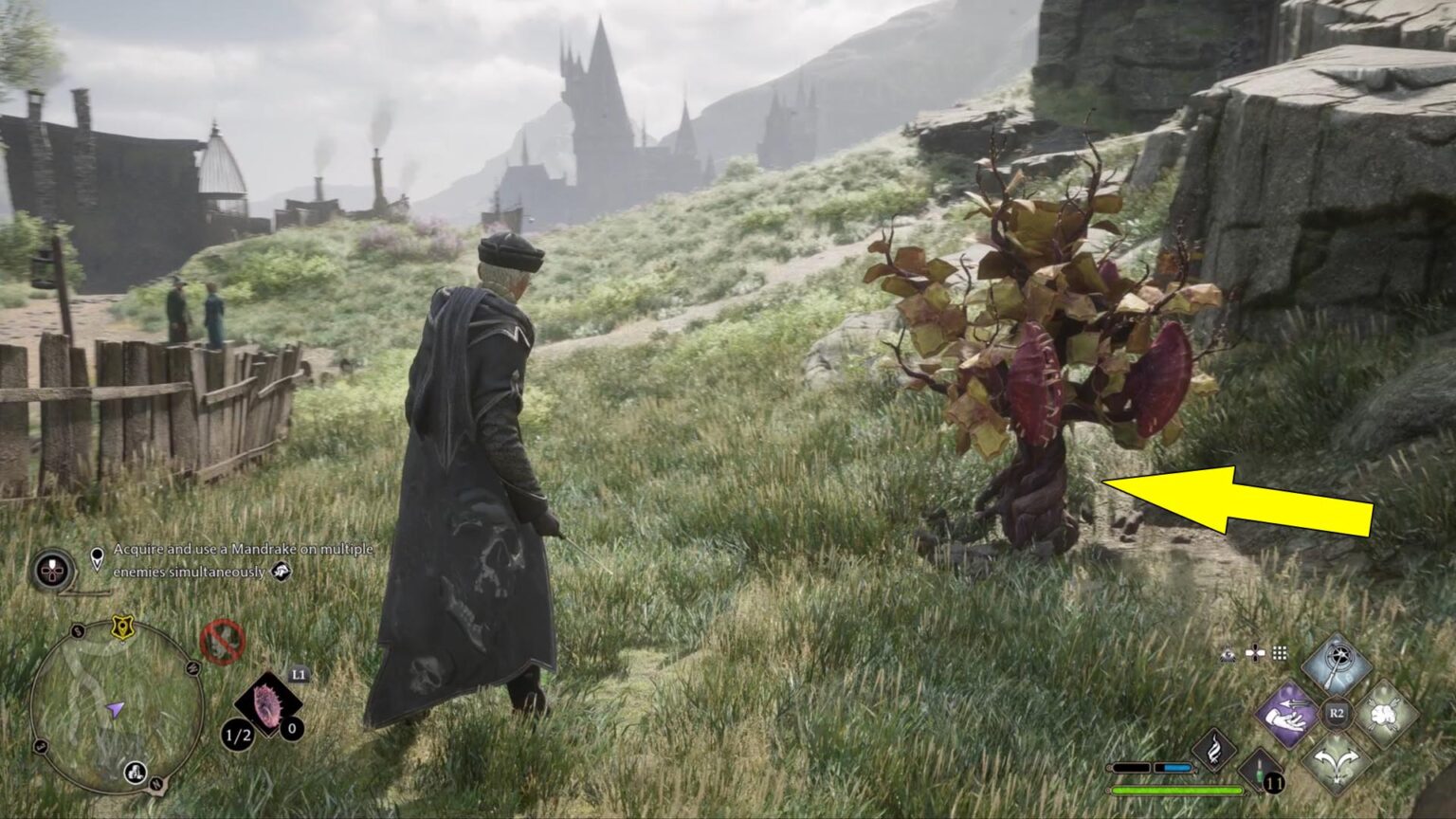 Professor Garlick Assignment 1 Walkthrough - Hogwarts Legacy