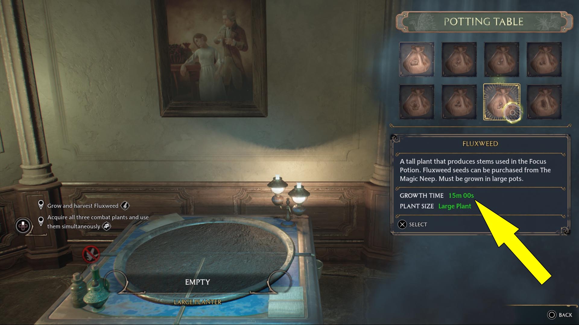 Professor Garlick Assignment 2 Plants - Hogwarts Legacy