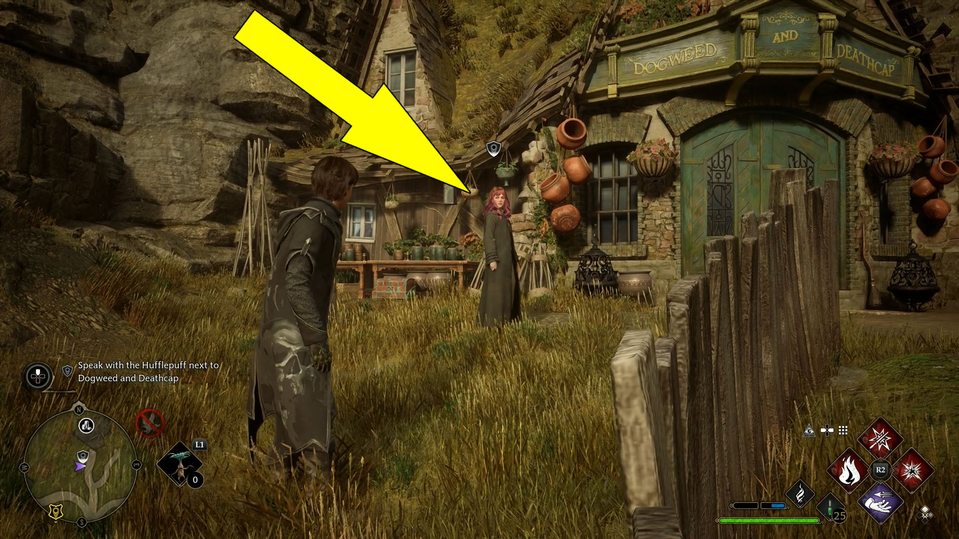 Spot Removal Bubotuber Locations Guide - Hogwarts Legacy