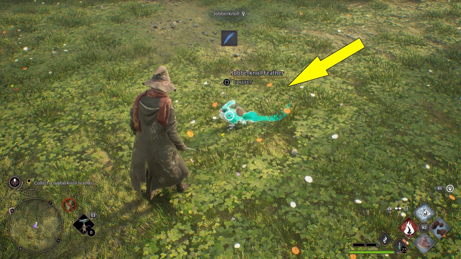 The Elf Nab-Sack And Loom Walkthrough - Hogwarts Legacy