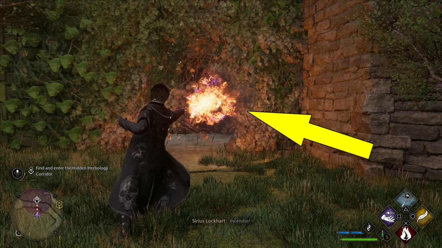 Venomous Valour Hidden Herbology Corridor - Hogwarts Legacy