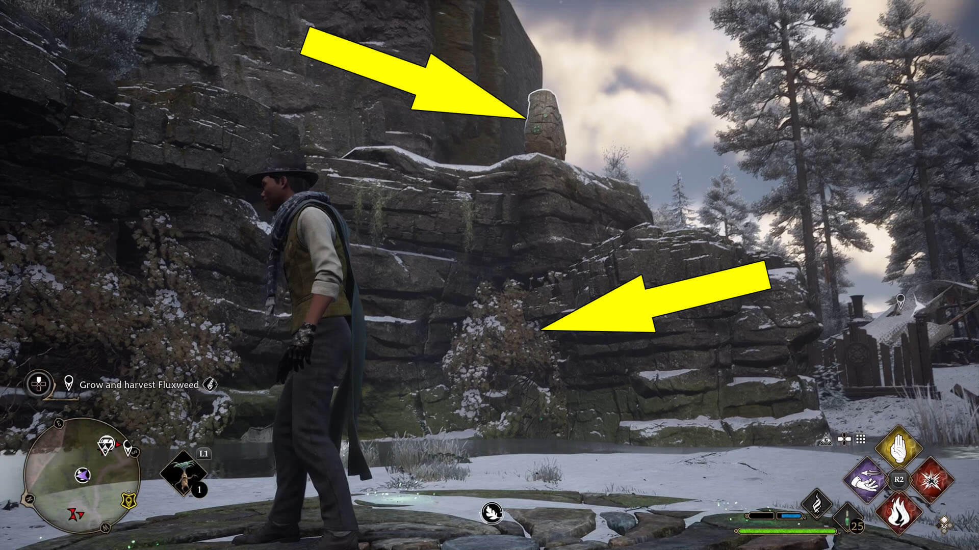 North Ford Bog Merlin Trial Solutions - Hogwarts Legacy