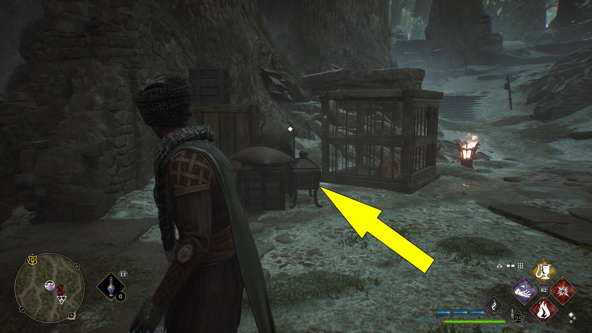 Forbidden Forest Collection Chests Guide - Hogwarts Legacy