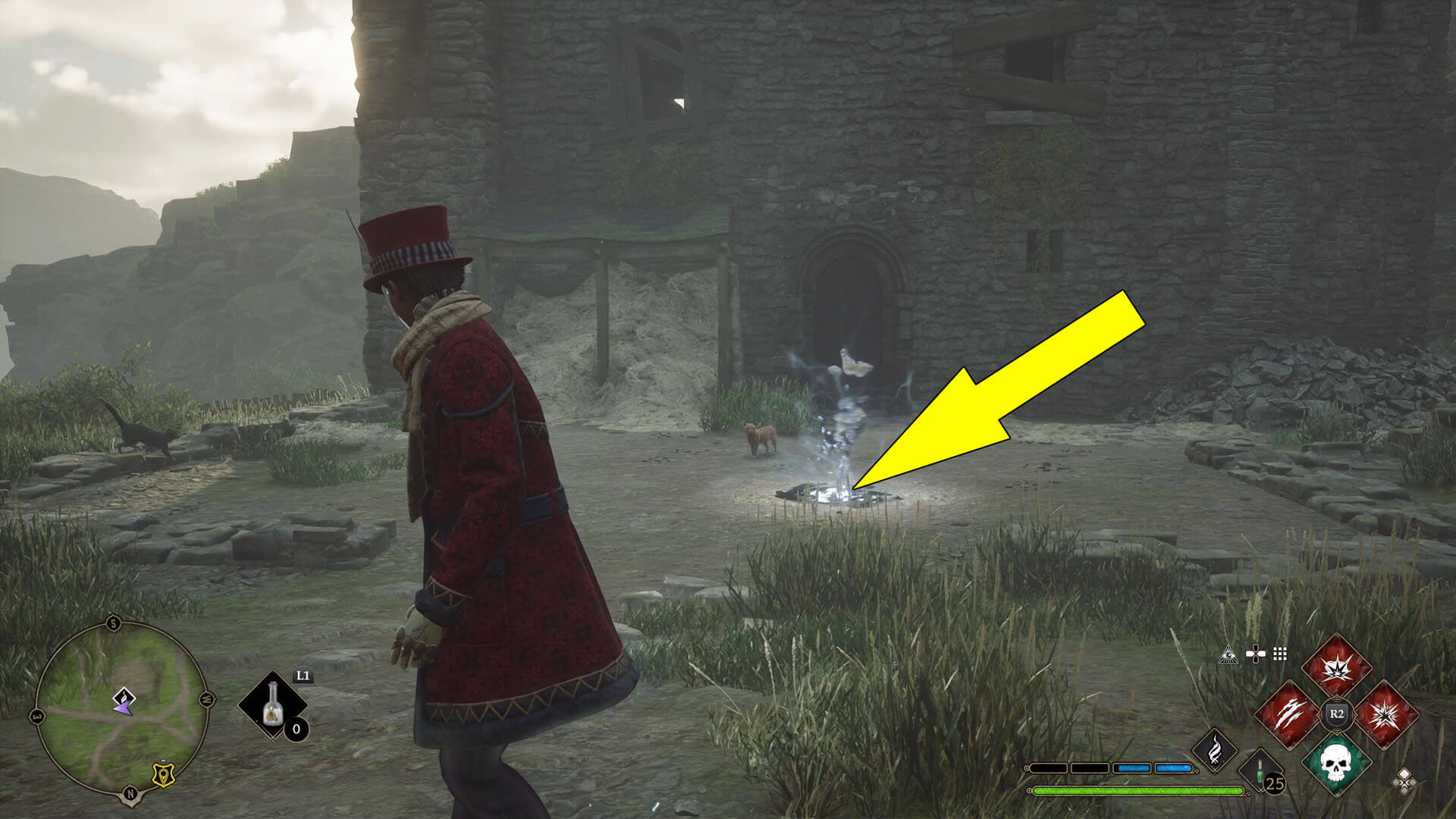 Poidsear Coast Ancient Magic Hotspots - Hogwarts Legacy