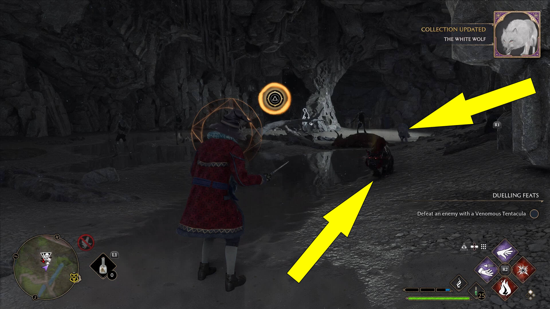 Hogwarts Valley Infamous Foe Locations - Hogwarts Legacy