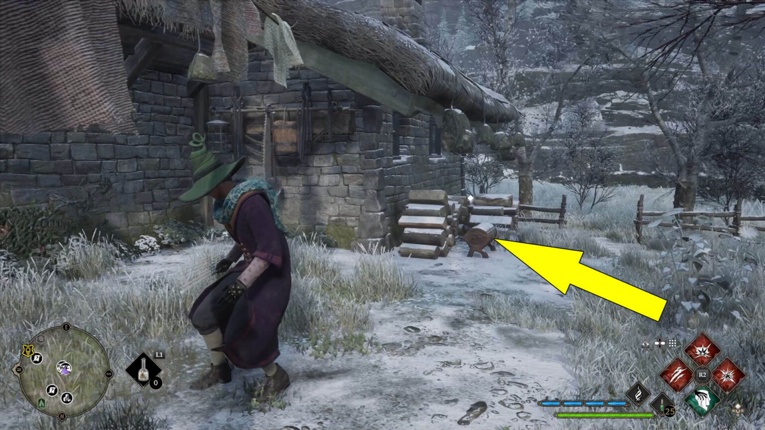 Feldcroft Region Collection Chests - Hogwarts Legacy