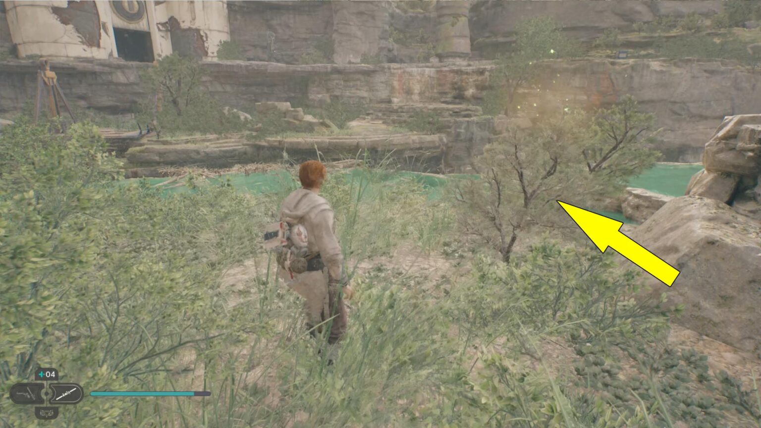 Swindler Wash Seed Pods Locations - SW Jedi Survivor Guide