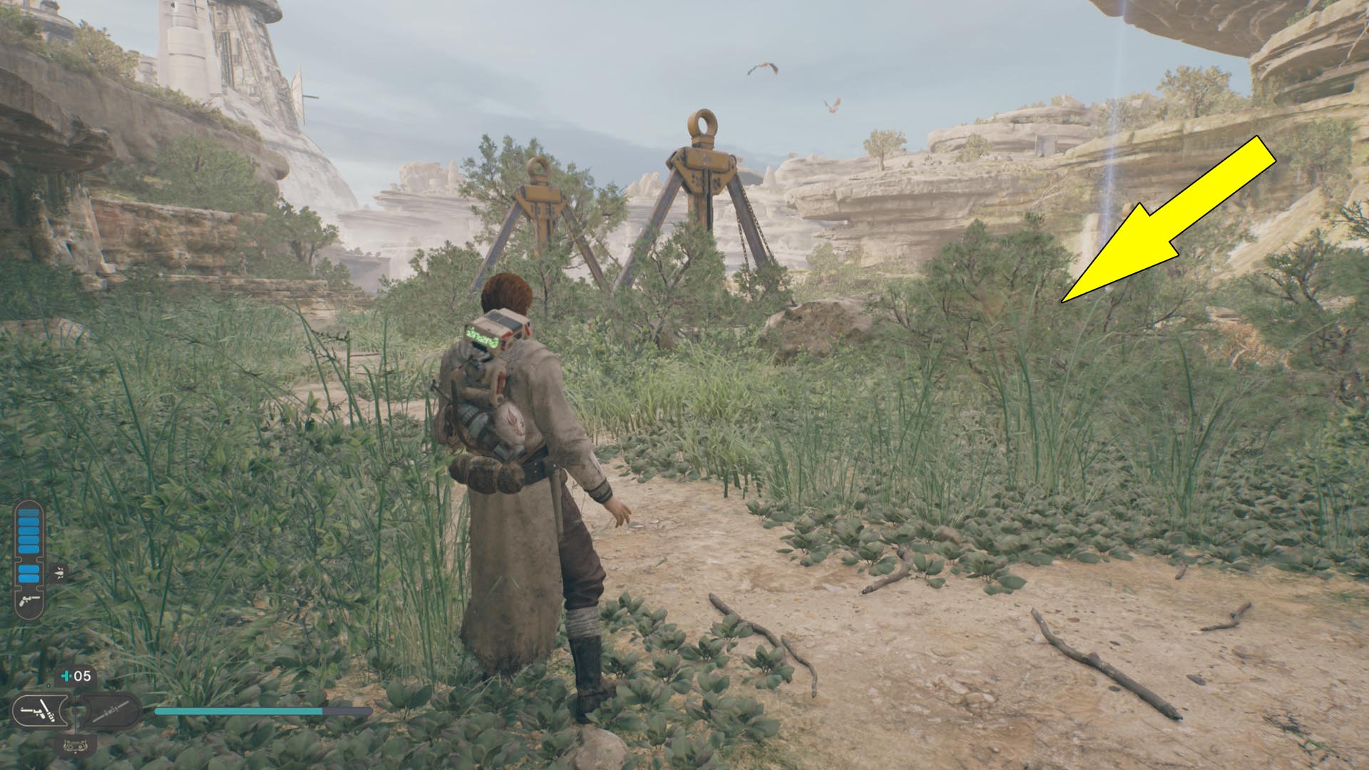 Swindler Wash Seed Pods Locations - SW Jedi Survivor Guide