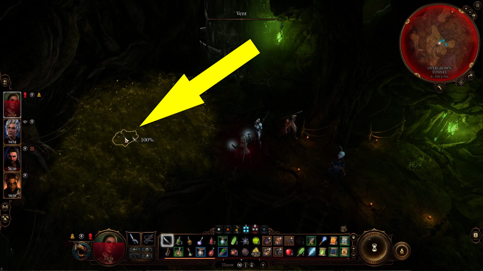 Overgrown Tunnel Noxious Fumes Vents - Baldur's Gate 3