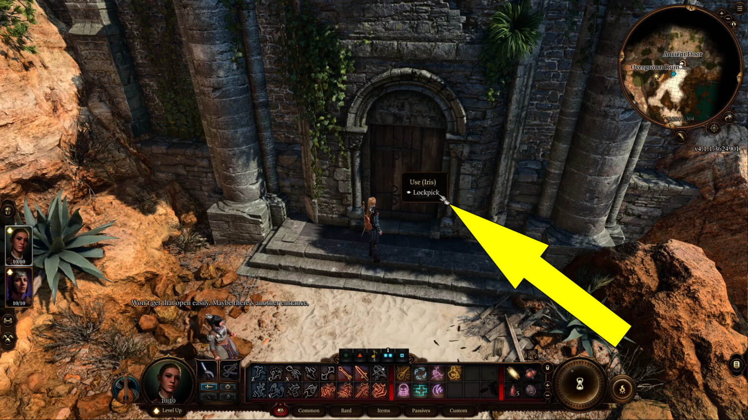 Overgrown Ruins Ancient Door Puzzle Guide - Baldur's Gate 3