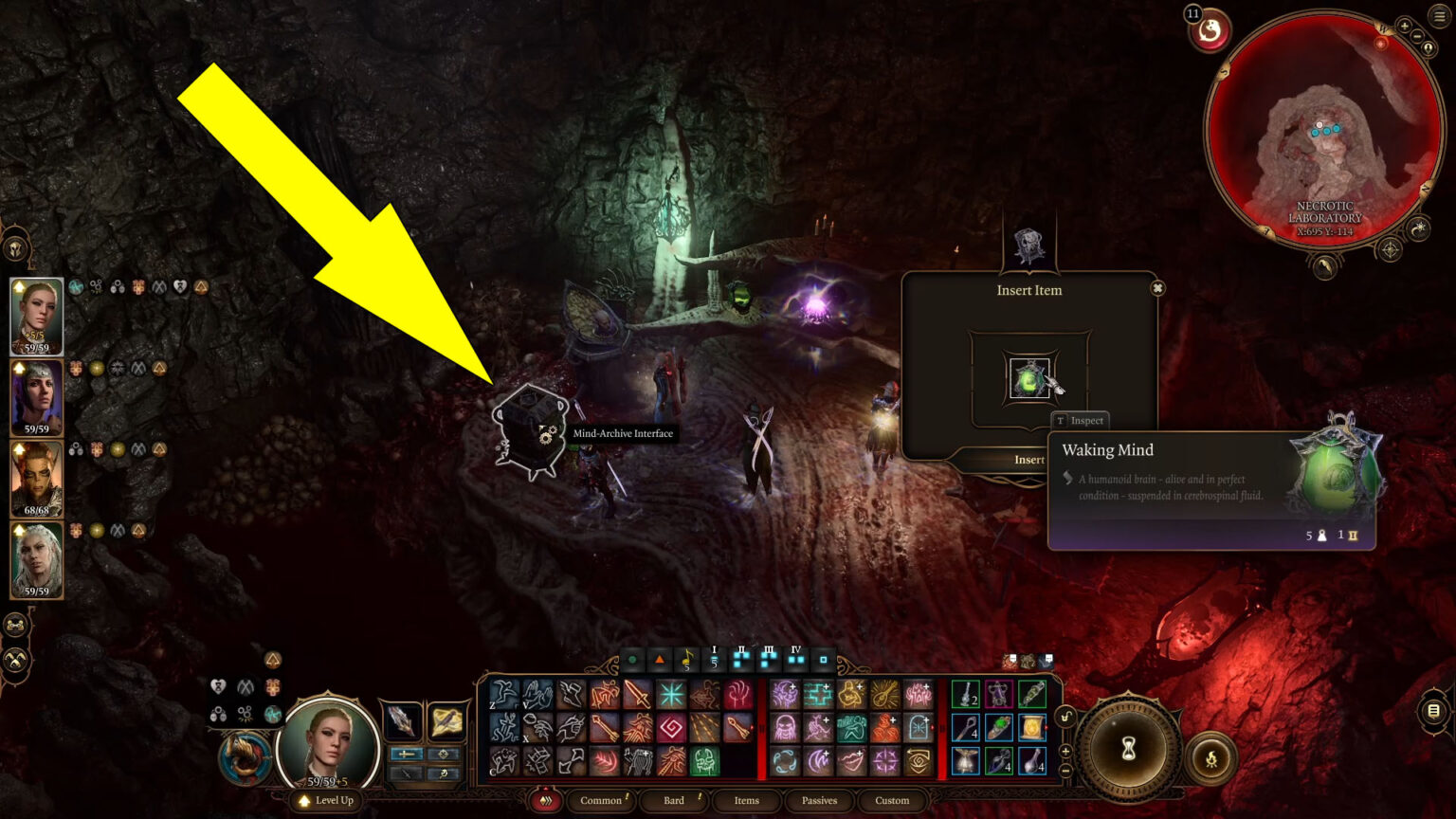 Necrotic Laboratory Brain Puzzle Solution - Baldur's Gate 3