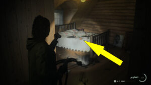 Watery Ranger Cabin Nursery Rhyme Puzzle - Alan Wake 2