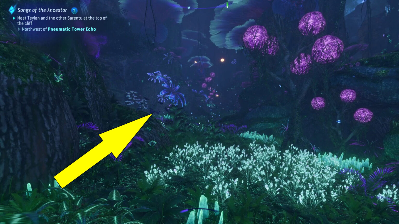 Meet Teylan And Other Sarentu - Avatar Frontiers Of Pandora