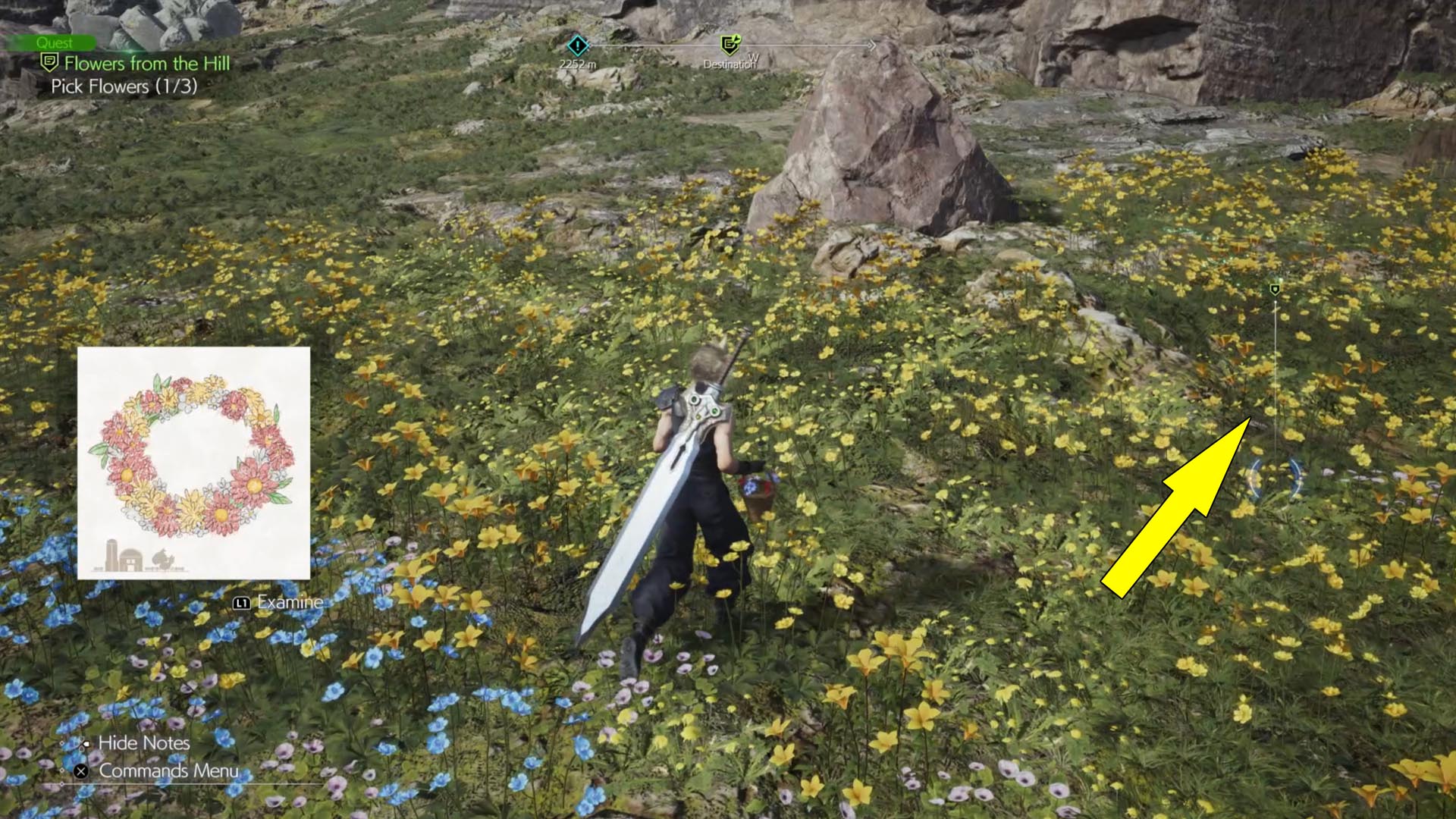 Where To Find Chloe's Flowers From the Hill in FFVII Rebirth